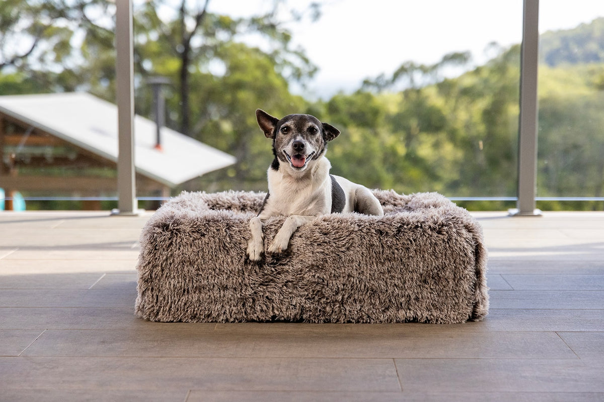 ORA Therapy Bed - Small | Orthopaedic Massage Dog Beds – ORA Pet Beds